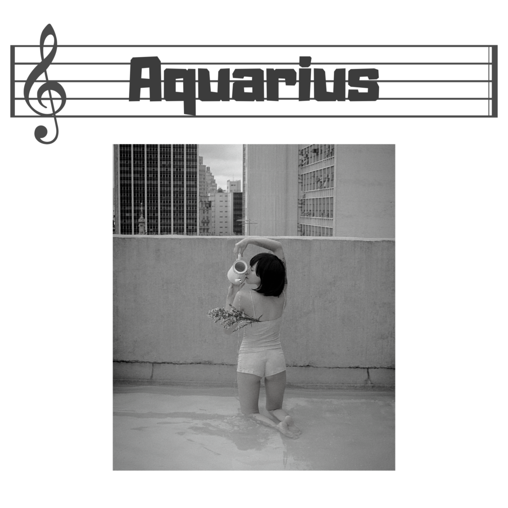 A Big List of Aquarius Artists (and a playlist) - Emmy of the Lou